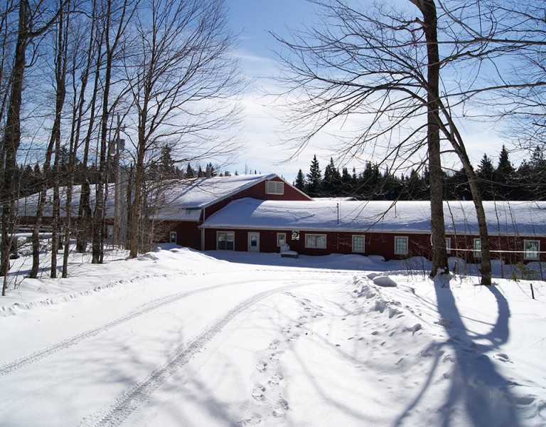 Home - Lapierre Maple Farm